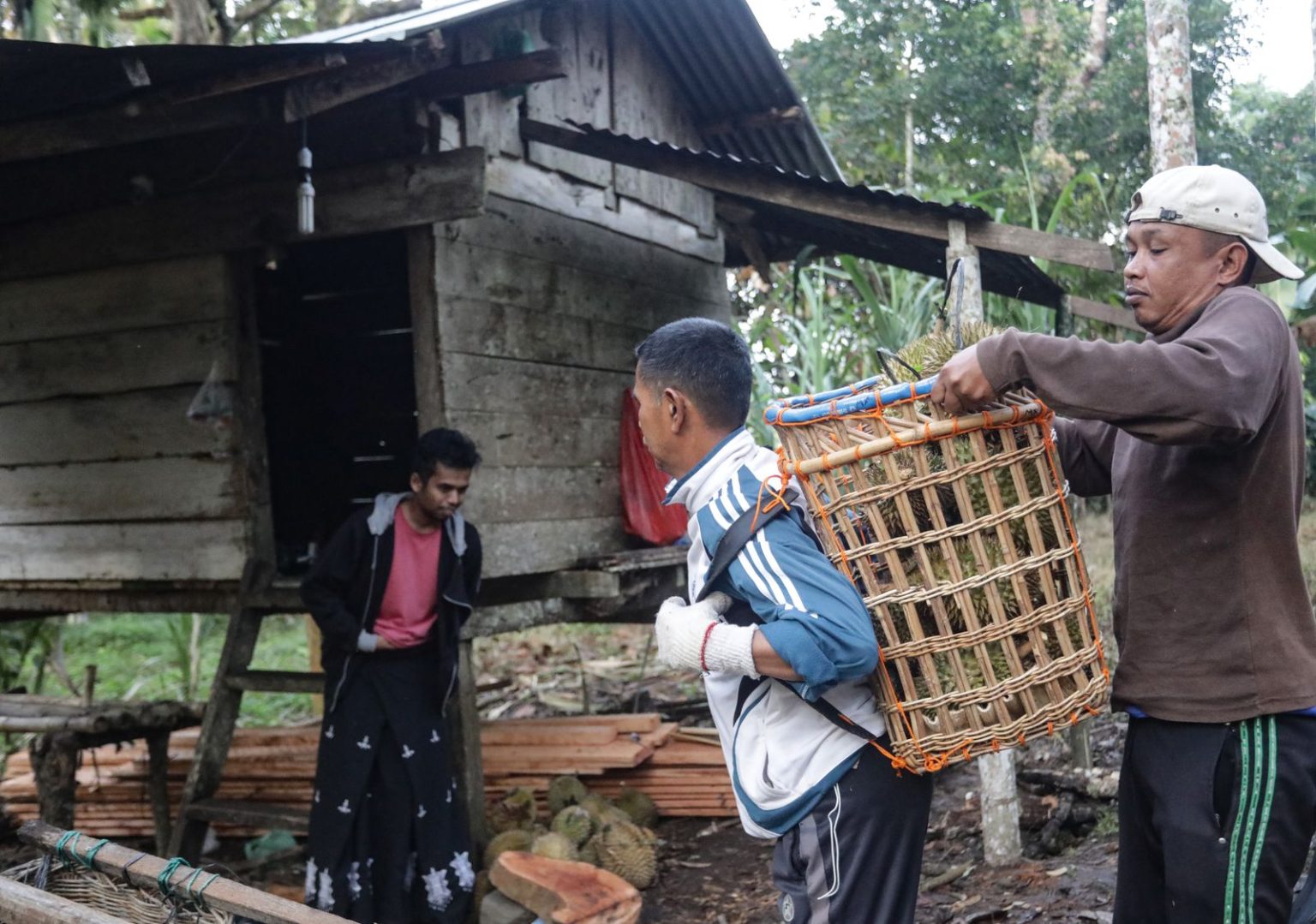 Rayuan Durian Tangse, Pidie: Kisah Pengepul dan Legit Cita Rasa Mie Eh ...
