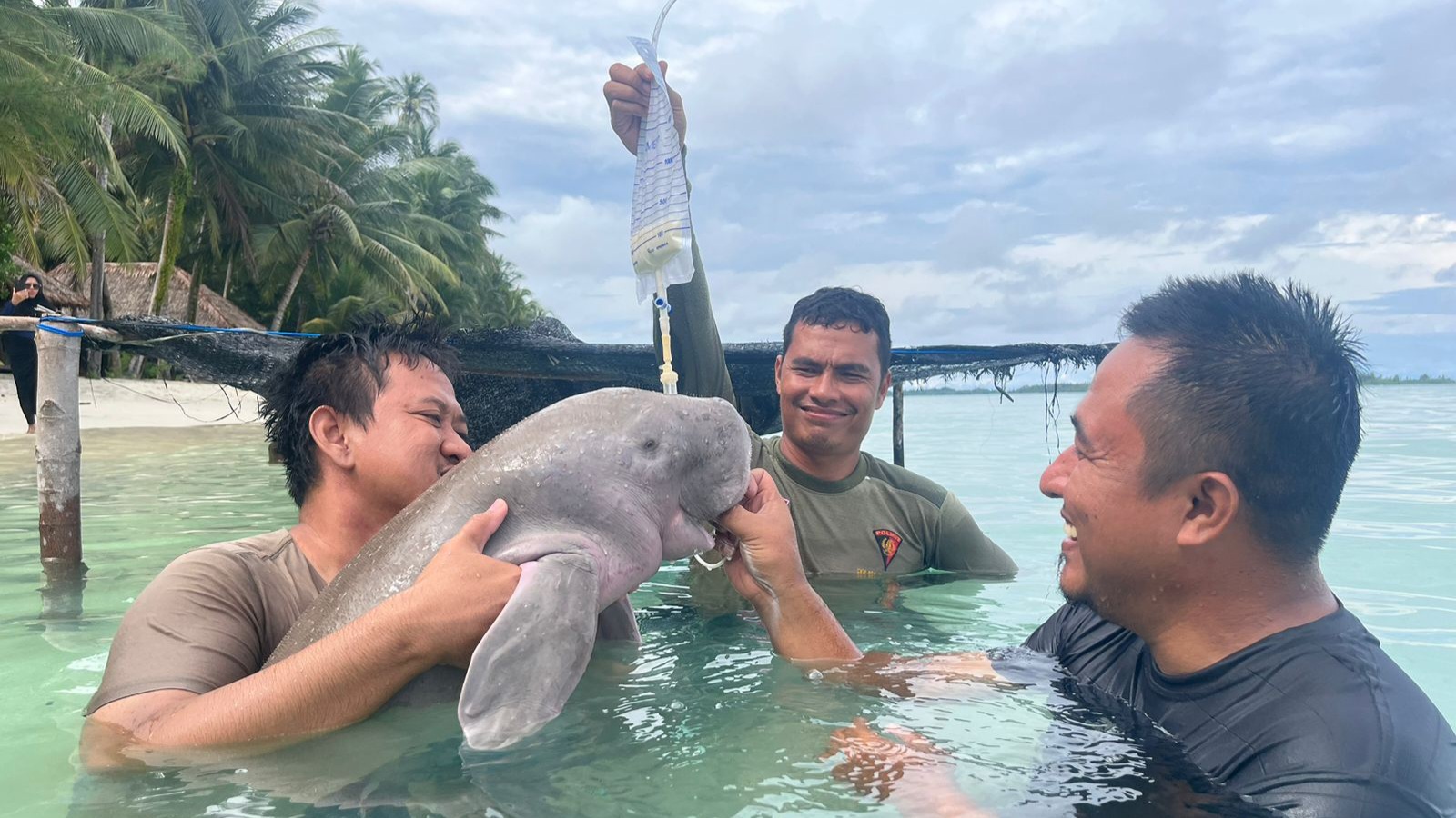 Lima Hari Dirawat, Bayi Ikan Duyung Dilepas ke Laut Aceh Singkil ...